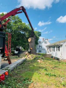 ALL SEASONS TREE SERVICES - Professional Tree Services