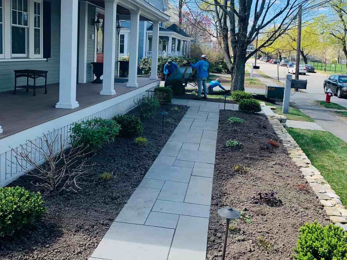 Professional Grass Seeding Services - All Seasons Tree Services