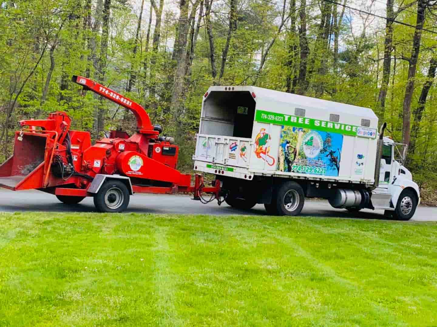 ALL SEASONS TREE SERVICES - Professional Tree Services
