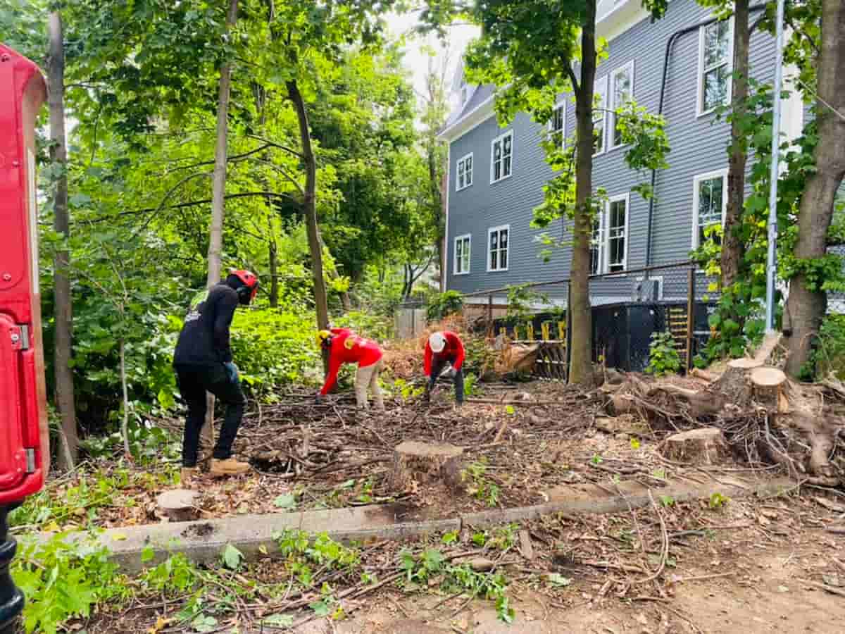 Professional and Affordable Storm Cleanup Services in Lynn - All ...