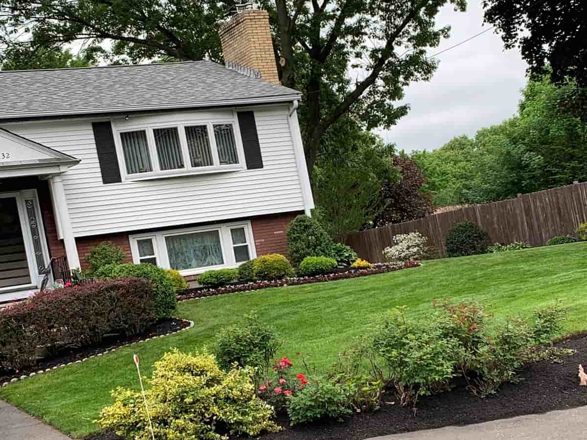 ALL SEASONS TREE SERVICES - Professional Tree Services